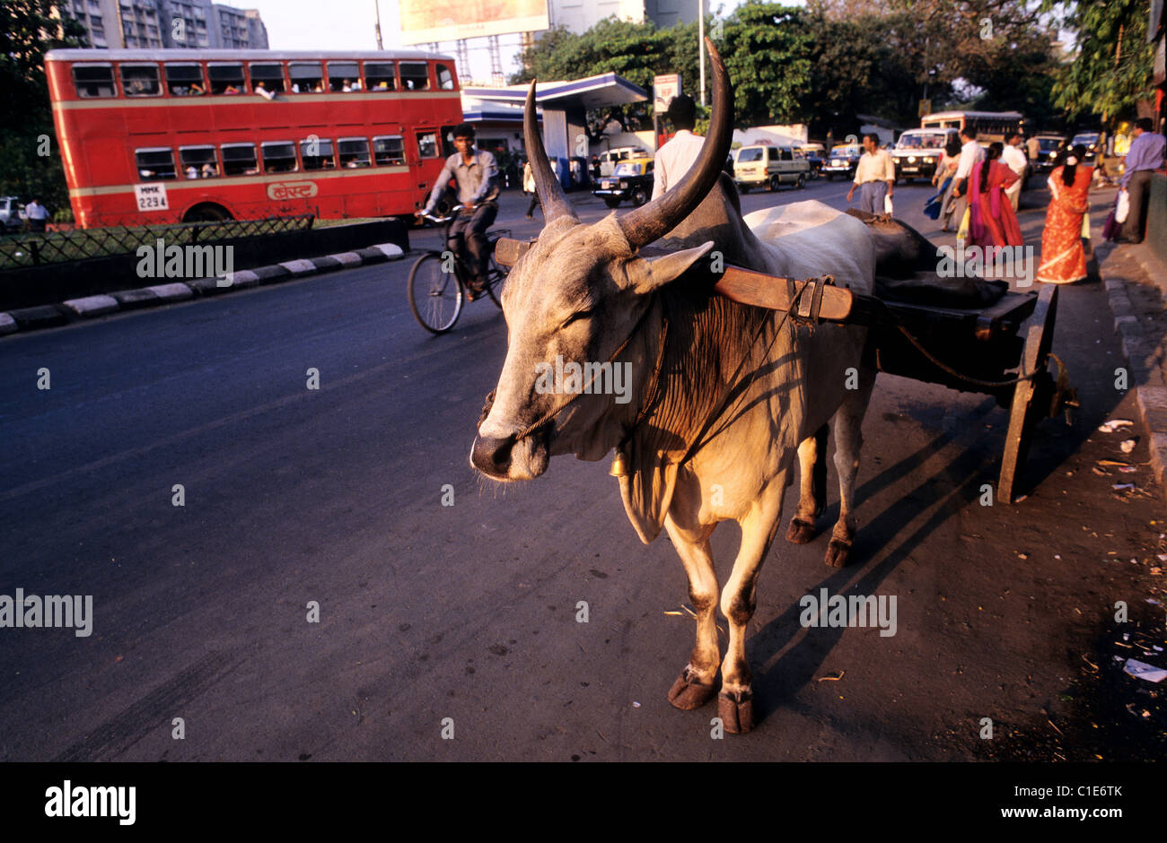 India, state of Maharashtra, Bombay (Mumbaï Stock Photo - Alamy