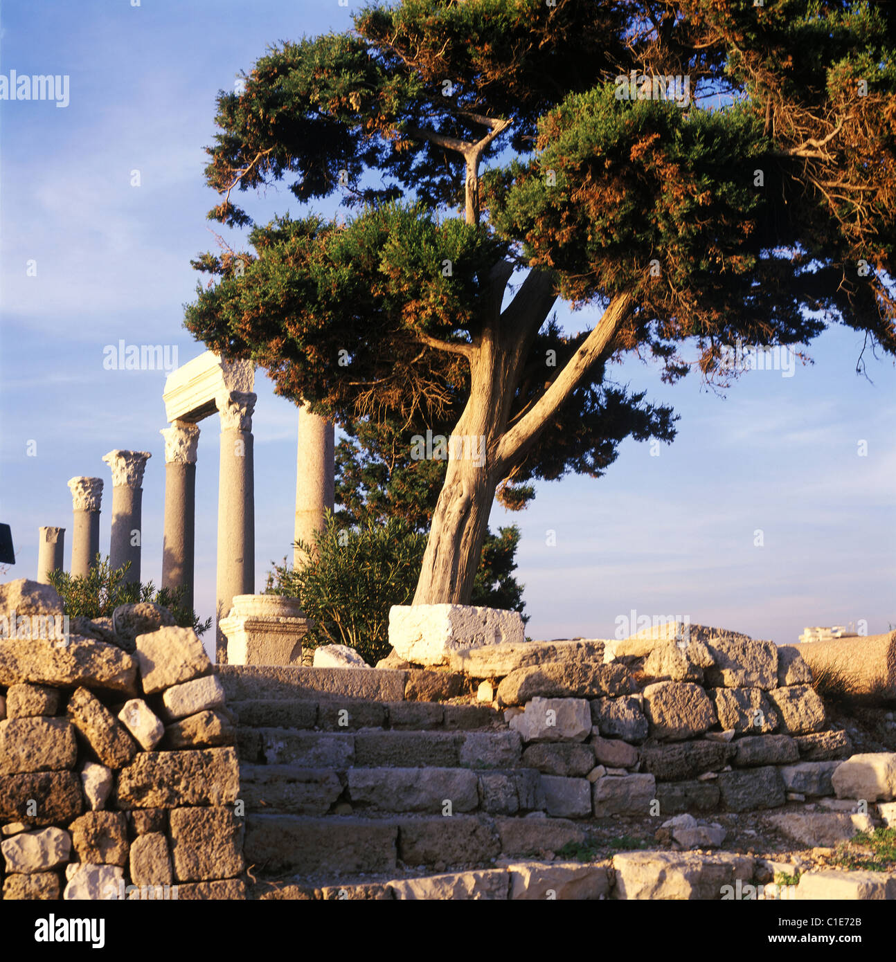 Lebanon, Byblos (Jbeil), Crusaders' castle Stock Photo - Alamy
