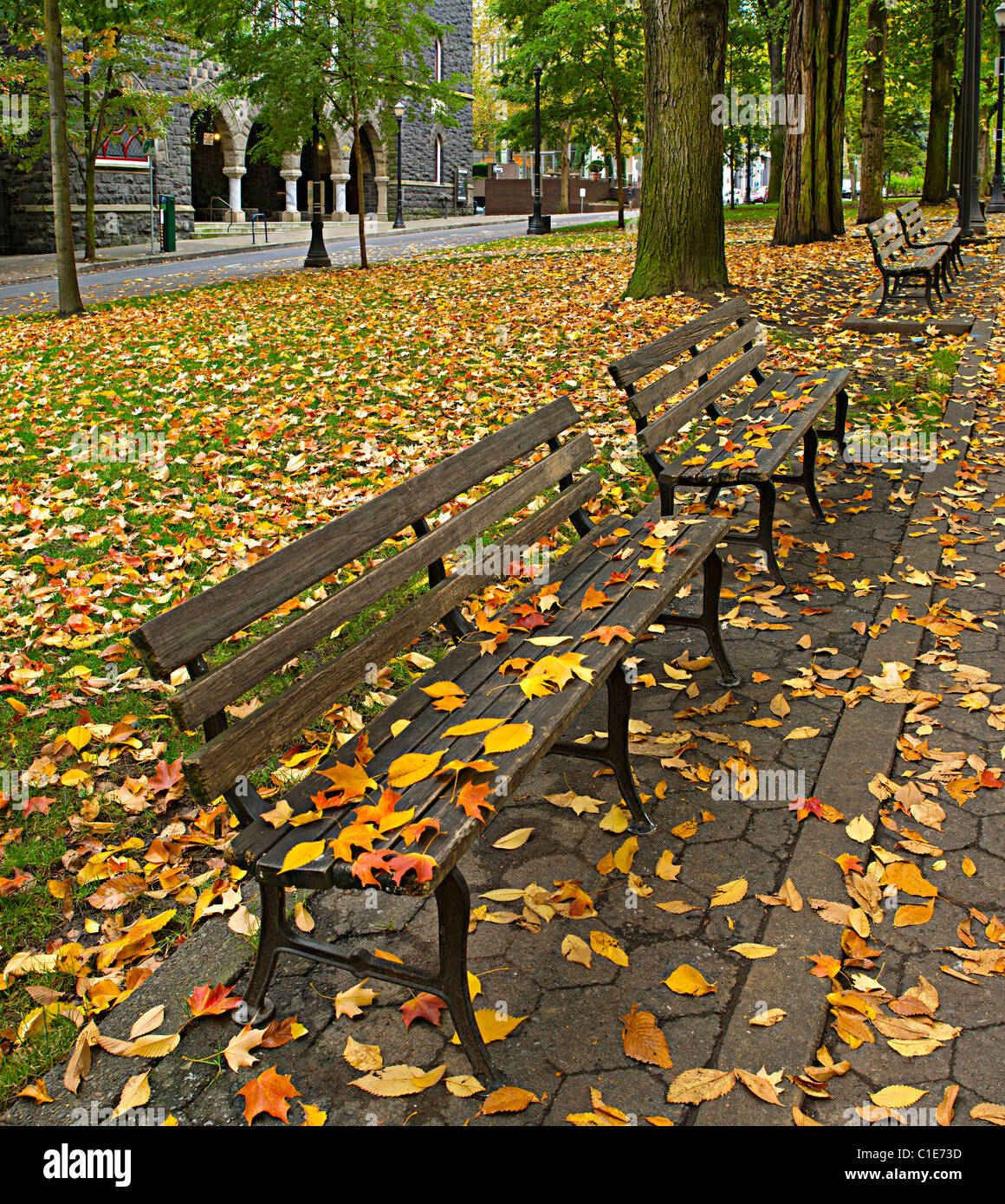 Maple and Elm Tree Fall Leaves on Park Benches 2 Stock Photo - Alamy