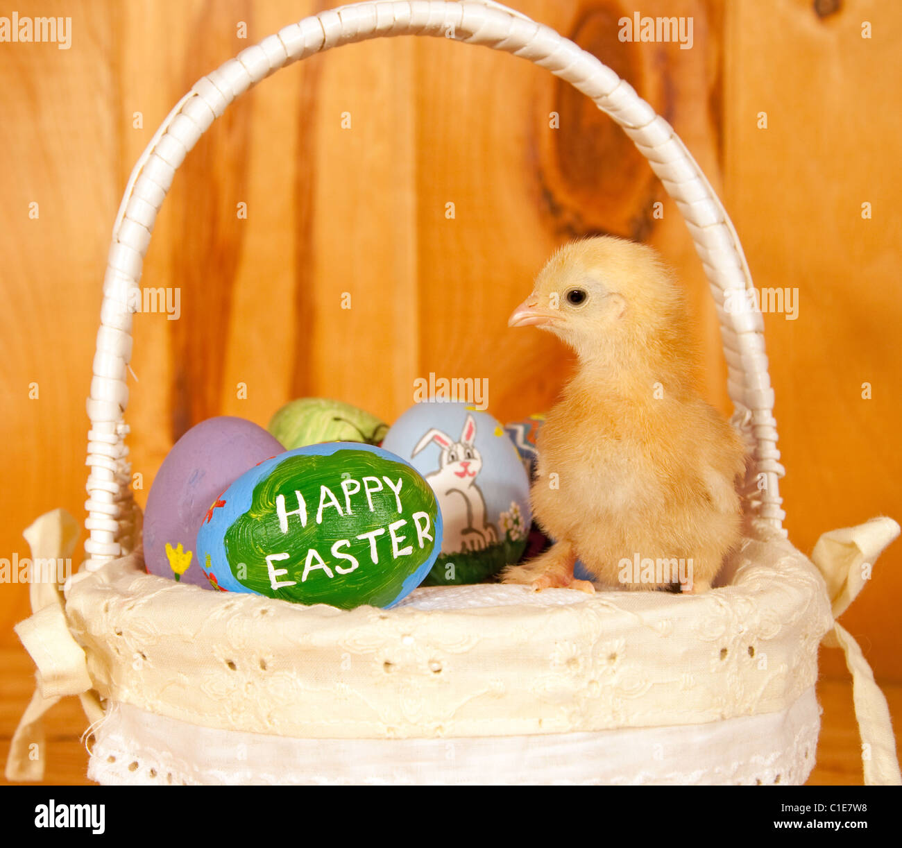 Tiny easter chick in the middle of hand panted Easter eggs in a basket ...