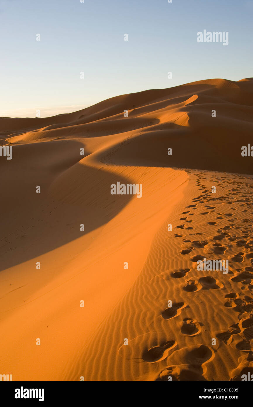 Sand dunes in the sahara desert at sunrise hi-res stock photography and ...