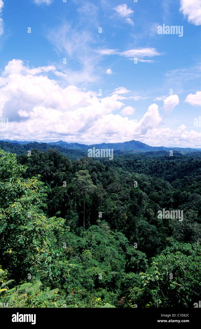 Malaysia, province of Sarawak, Borneo Stock Photo - Alamy