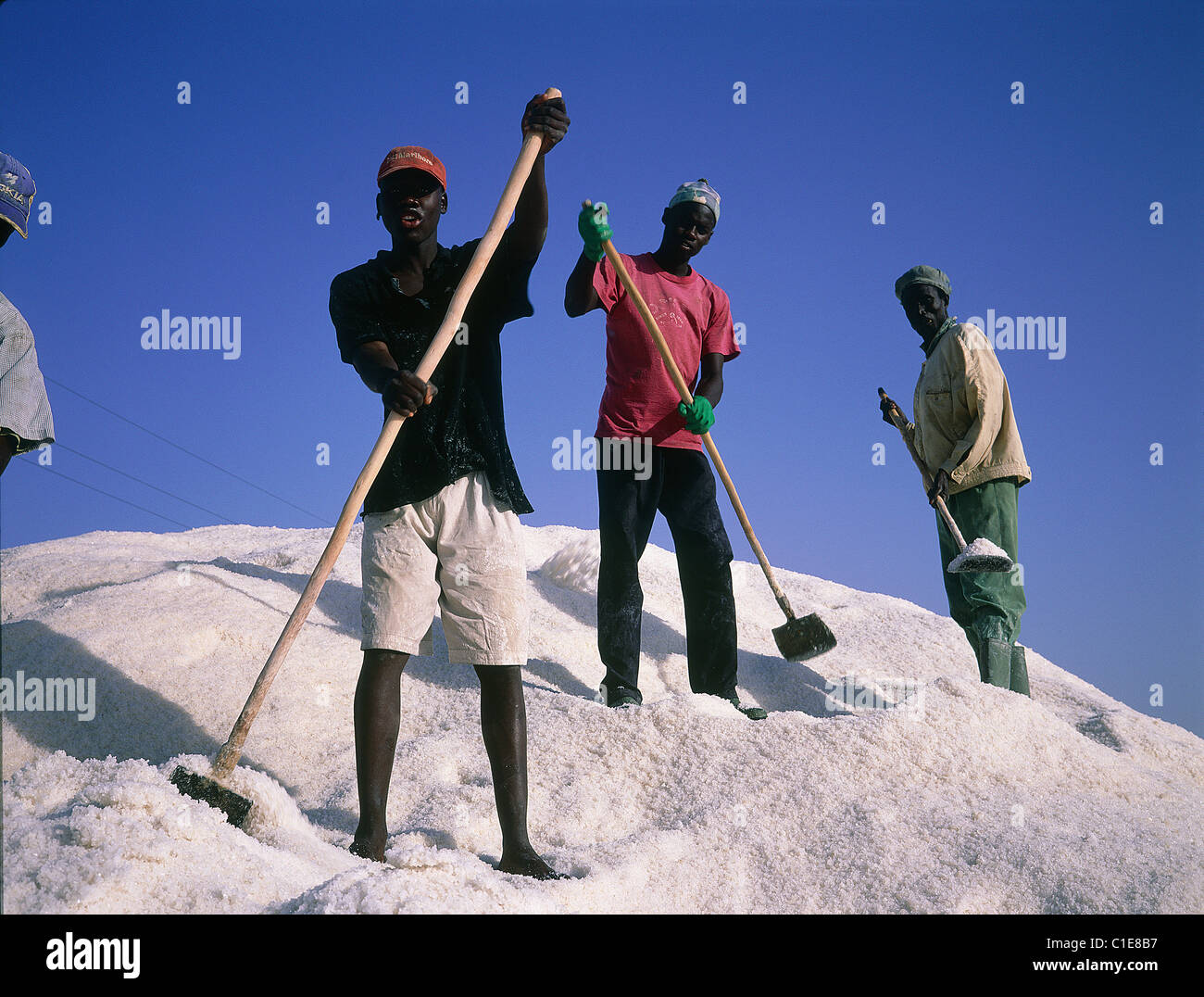 Senegal, Sine Saloum area, salt pen near the city of Kaolock, men ...