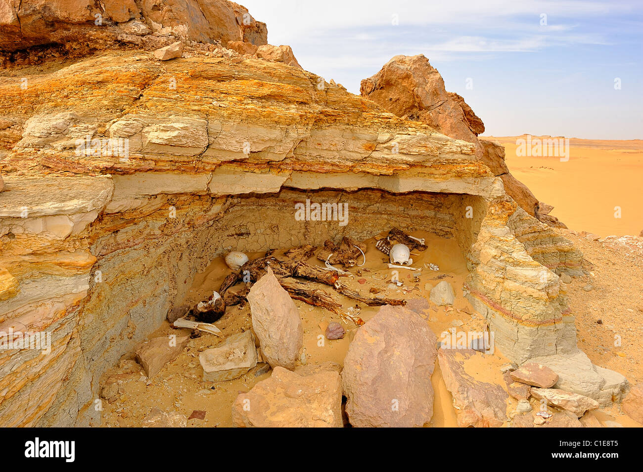 Roman Grave High Resolution Stock Photography and Images - Alamy