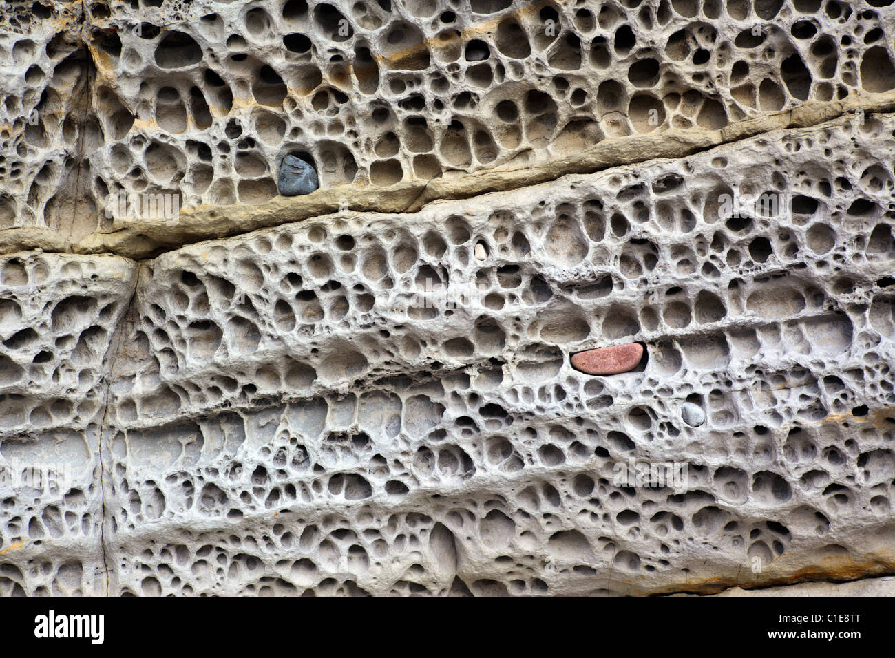 Pitted limestone cliff with pebbles on Elgol beach Skye Stock Photo - Alamy