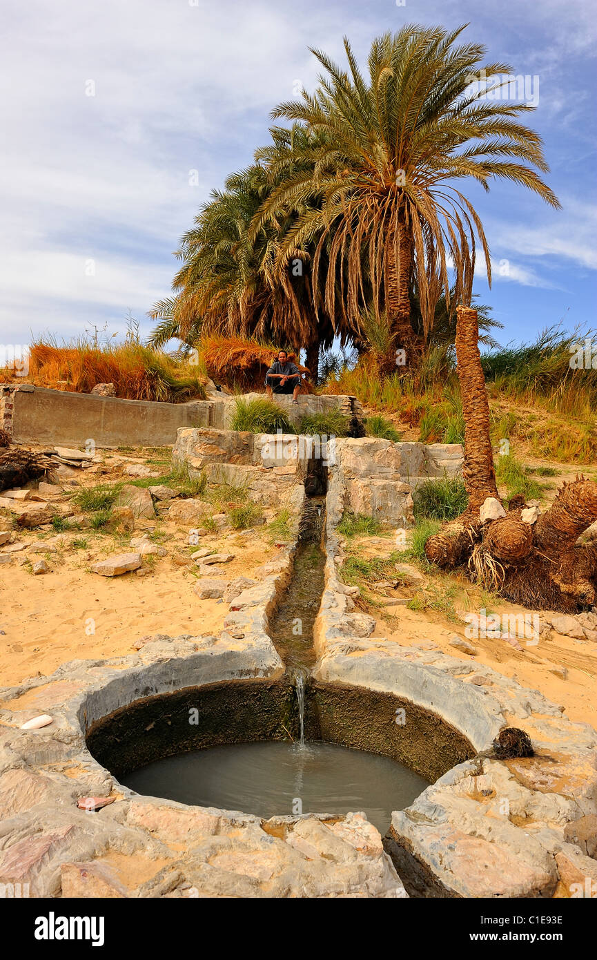 Oasis with palm trees and freshwater spring in the White Desert ...