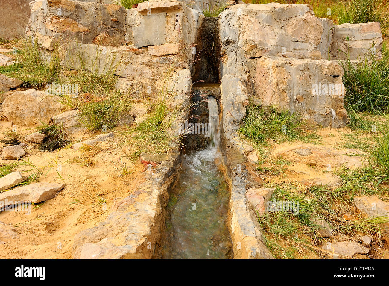 Oasis with palm trees and freshwater spring in the White Desert ...
