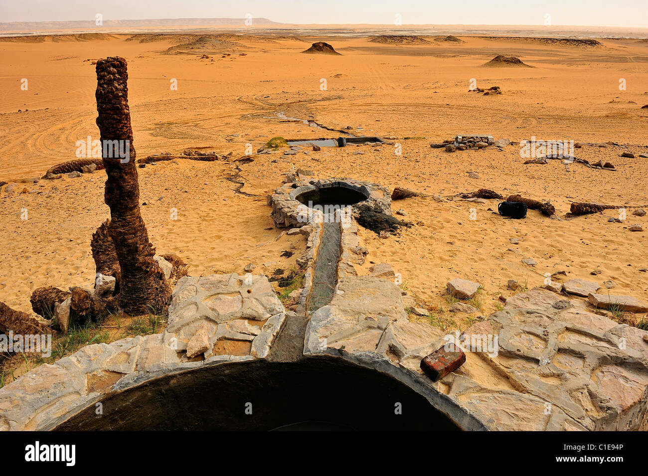 Spring in egypt hi-res stock photography and images - Alamy