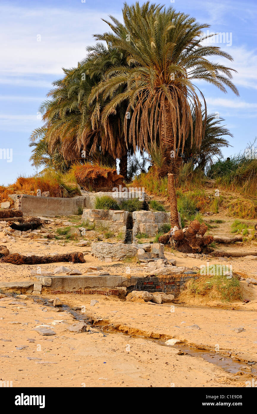 Desert spring water hi-res stock photography and images - Alamy