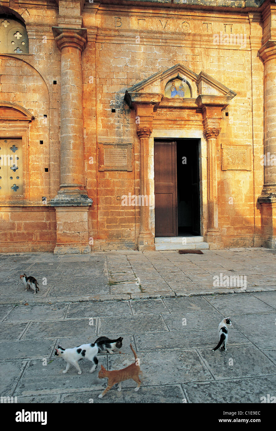 Crete Cats High Resolution Stock Photography and Images - Alamy