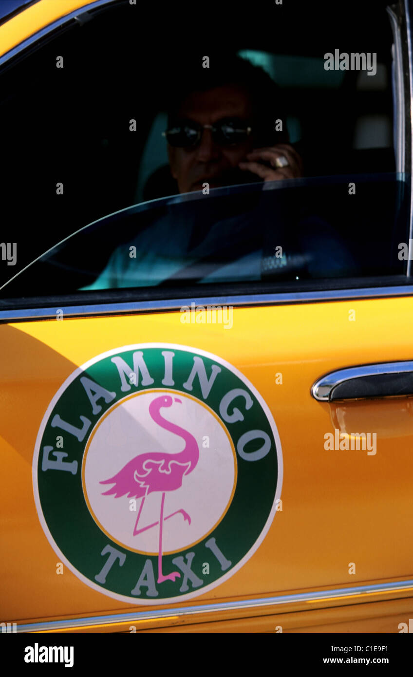 United States, Florida, Miami, yellow taxis Stock Photo - Alamy