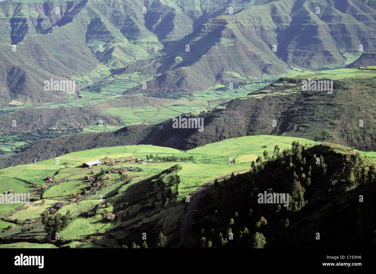 Wollo hi-res stock photography and images - Alamy