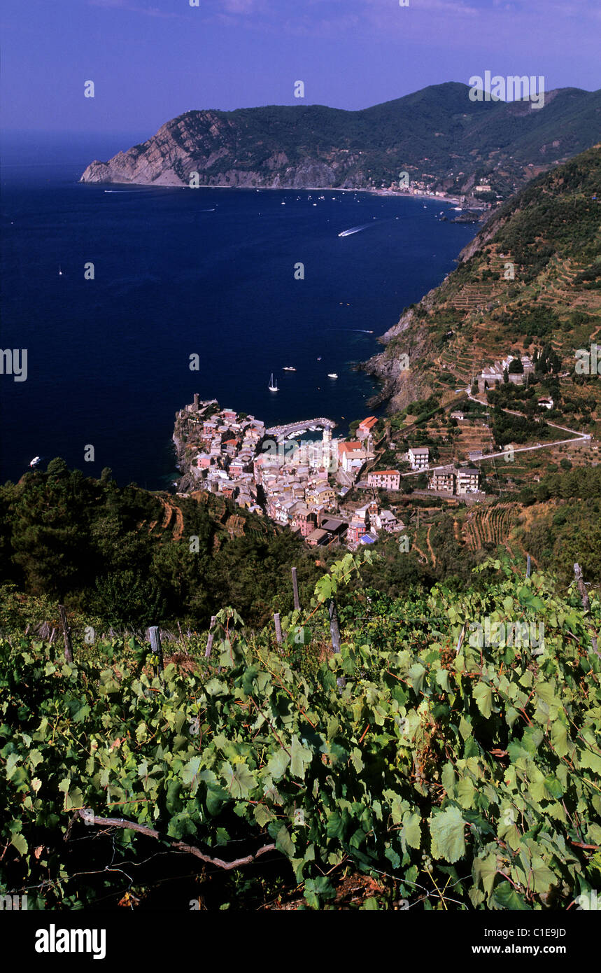 Italy, Liguria, Cinque Terre (Five Lands National Park) listed as World ...