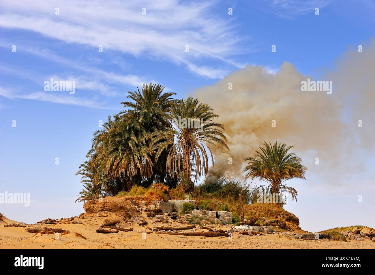 Fire and smoke in an oasis with palm trees in the White Desert national ...