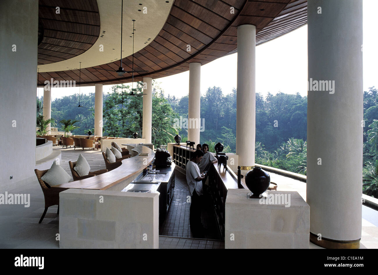 Indonesia, Bali, Ubud, Four Seasons hotel looking down on the rice ...