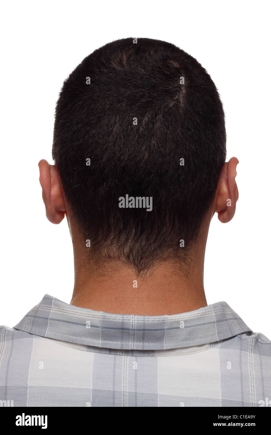 Back head caucasian engraving hi-res stock photography and images - Alamy