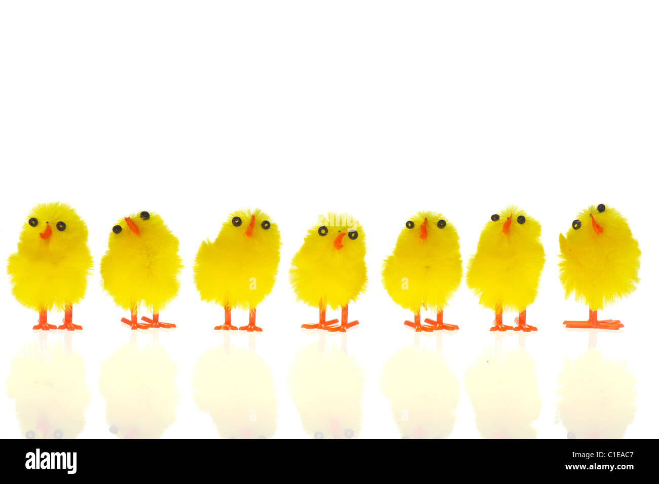 Row with yellow easter chicks isolated over white background Stock ...