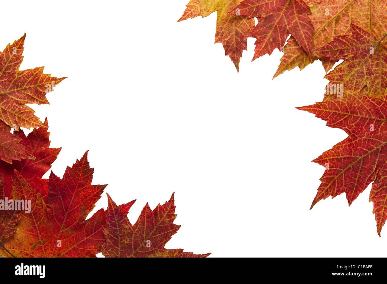 Fall border hi-res stock photography and images - Alamy