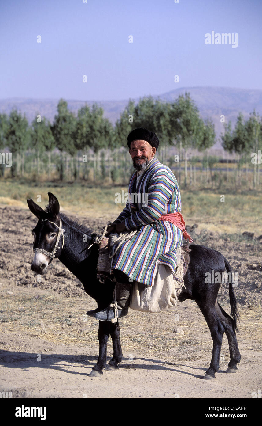 Uzbekistan, Surkhandaria region (or Surkhandarya Stock Photo - Alamy