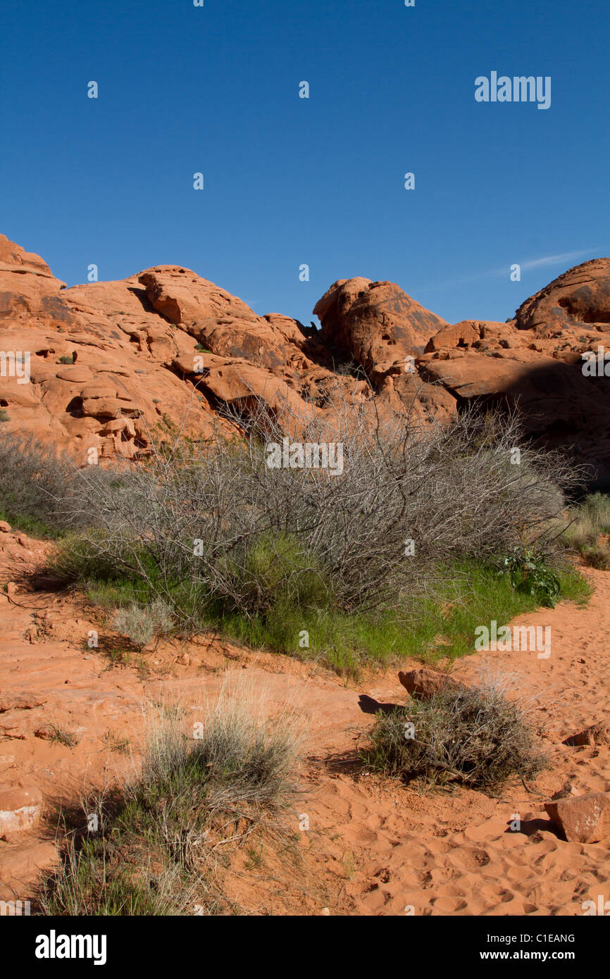 Red and blue rock hi-res stock photography and images - Alamy