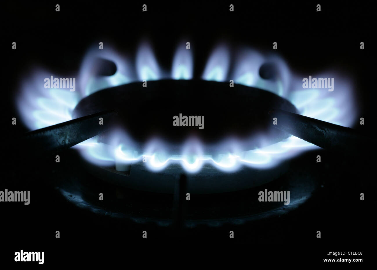 blue Gas cooking flame on hob Stock Photo - Alamy