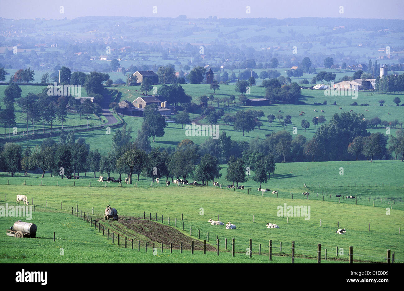 Belgium, province of Namur, the Belgian Ardennes, Ardennese countryside ...