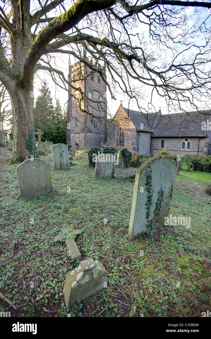 St Mary the Virgin church, St Briavels, Forest of Dean, UK Stock Photo ...
