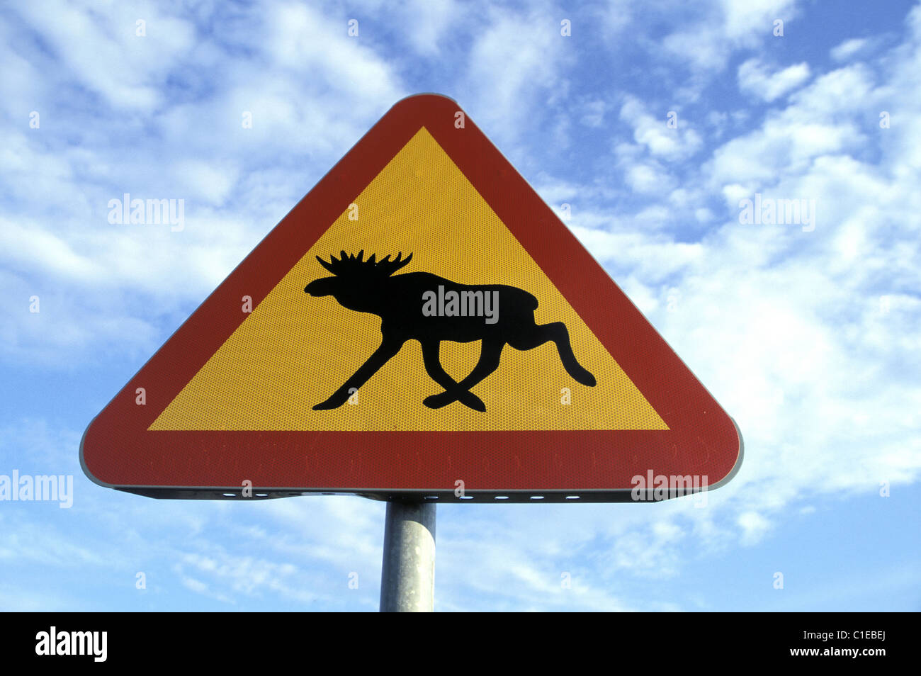 Sweden, moose road sign Stock Photo - Alamy