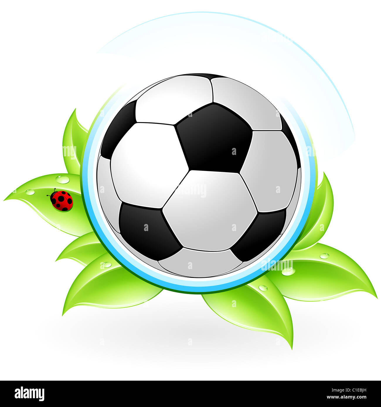 Green icon with leaves and football for your design Stock Photo - Alamy