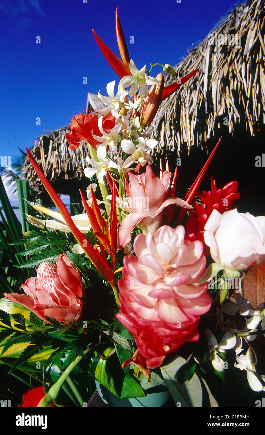 France, French Polynesia, Tropical flowers Stock Photo - Alamy