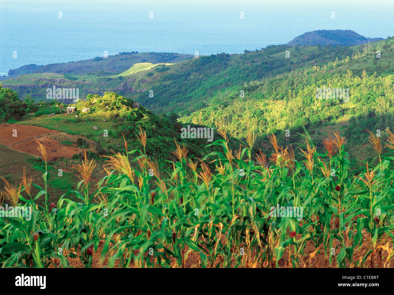 Rodrigues hi-res stock photography and images - Alamy