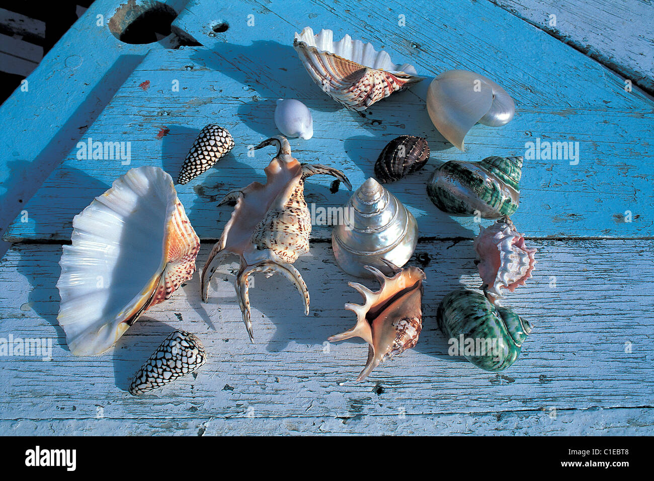 Mauritius, District of Rivière Noire, Plage Paradis sous la colline de ...