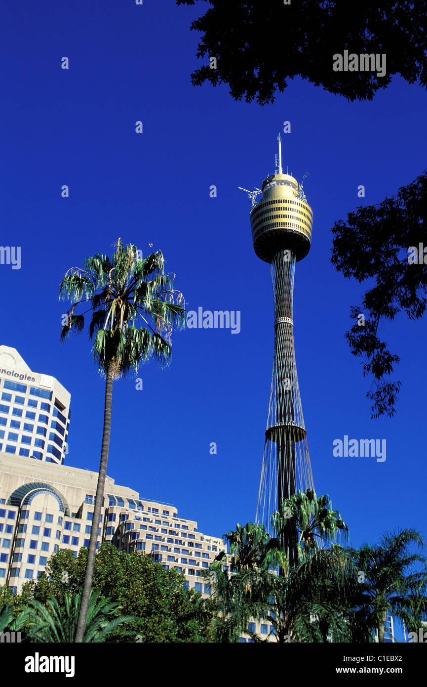 Australia, Sydney, the AMP tower in the city Stock Photo - Alamy