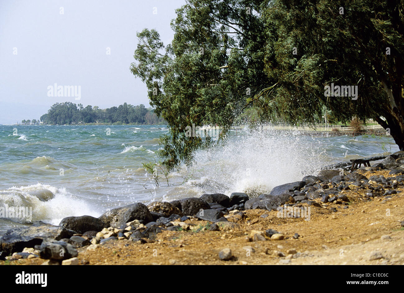 Israel, Galilee area, lake Tiberiade Stock Photo - Alamy