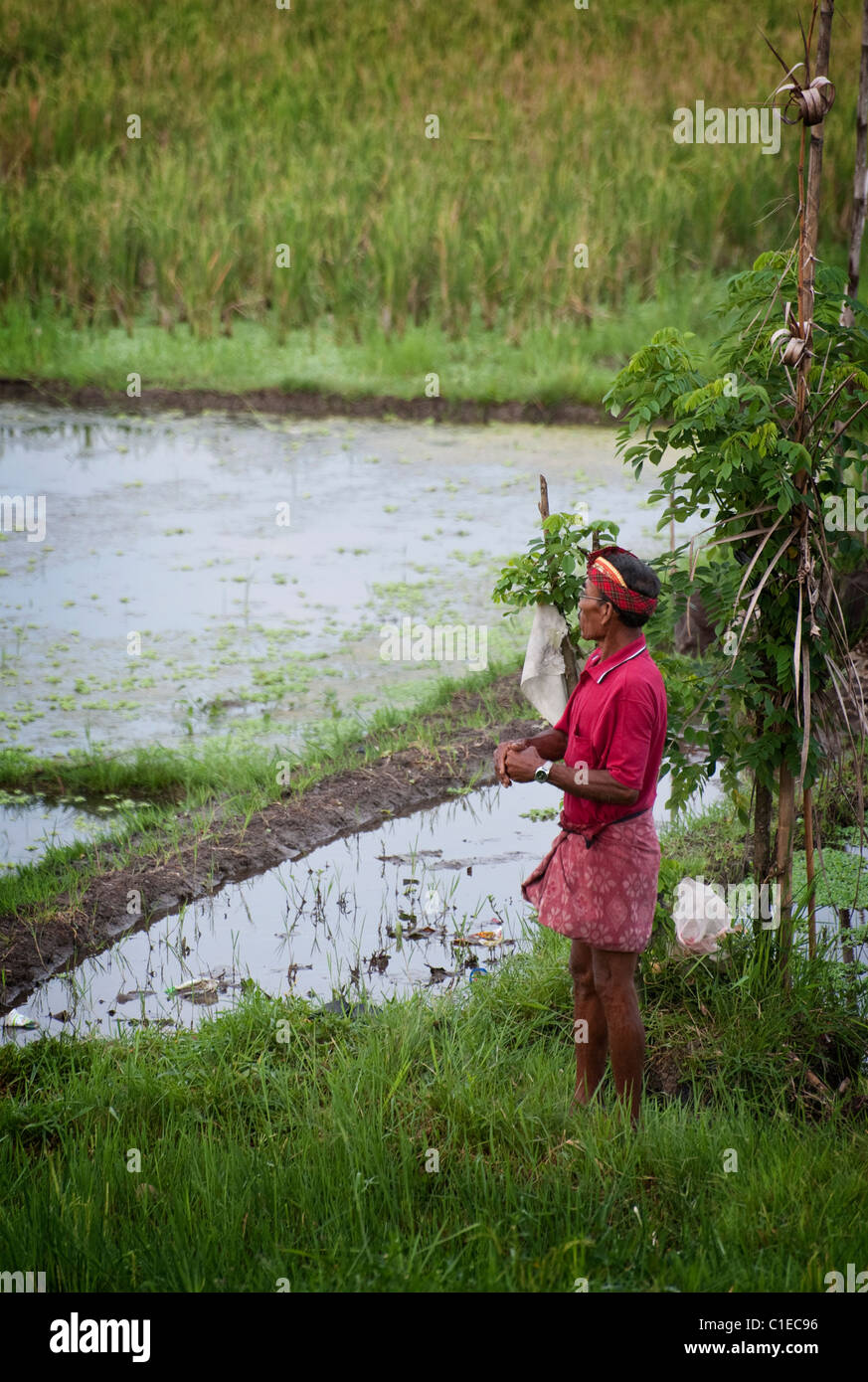 Balinese traditional clothing man hi-res stock photography and images ...