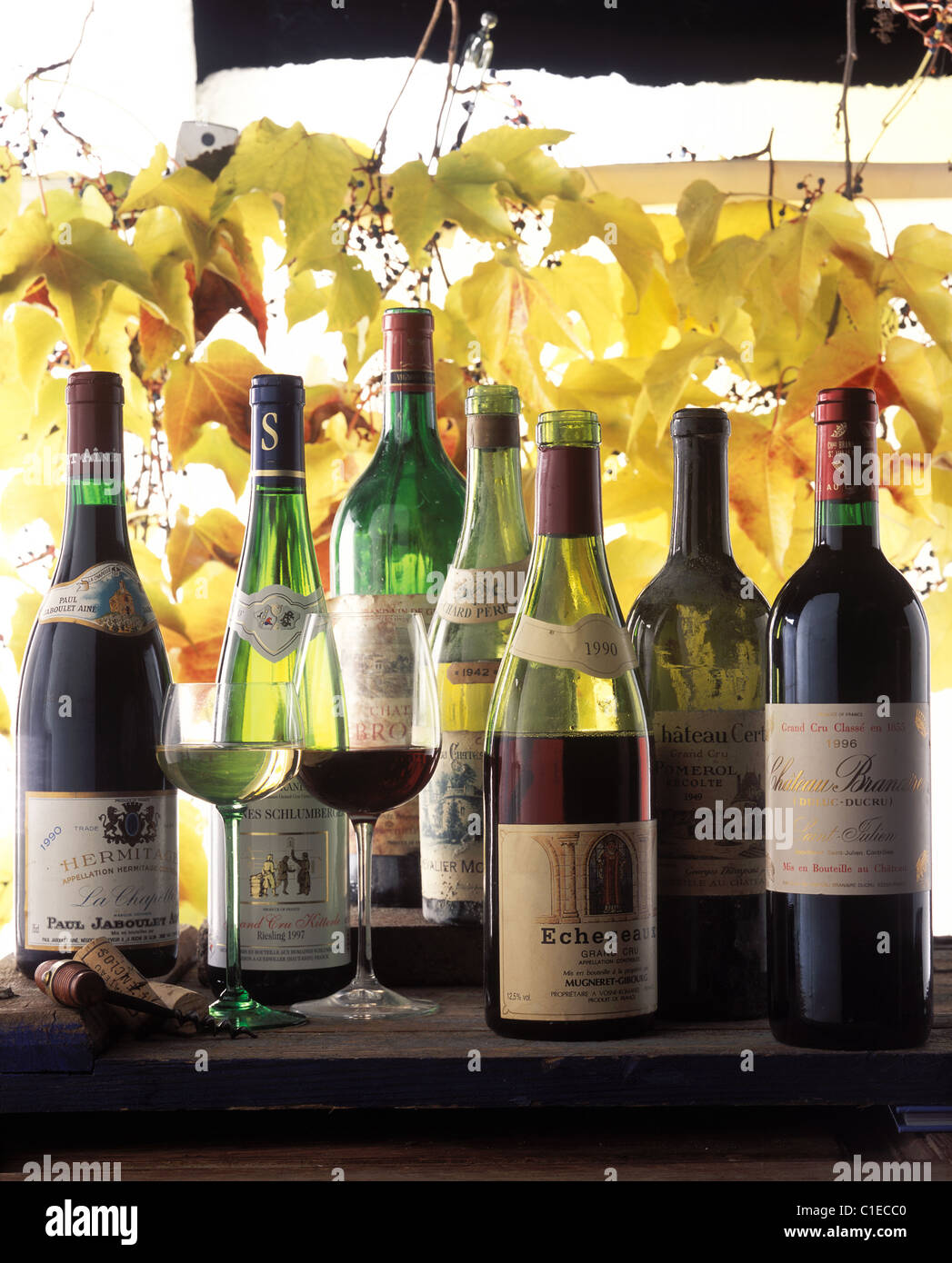 France, bottles of wine Stock Photo - Alamy