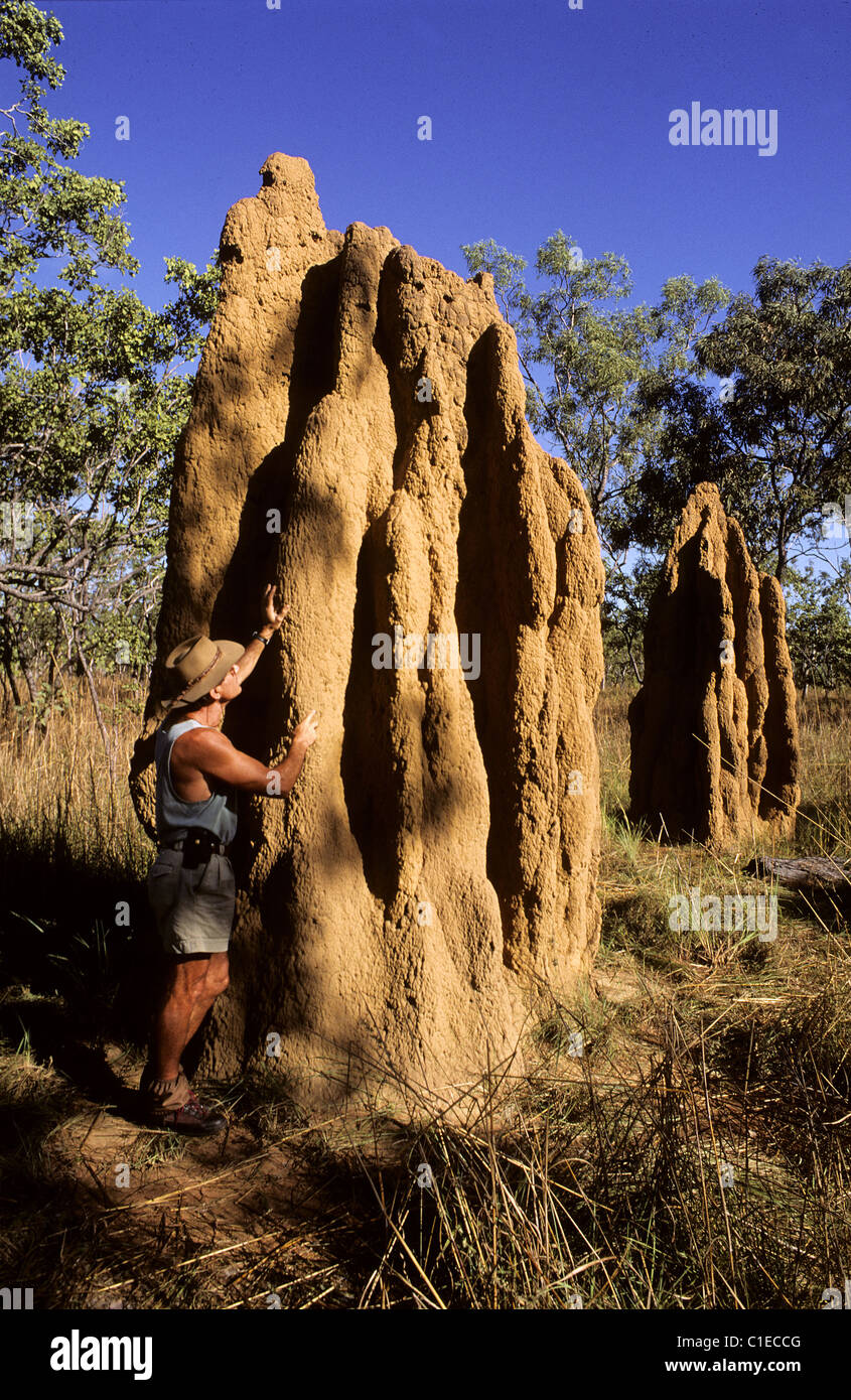 Australia, Northern Territory, giant termitary in Kakadu national park ...