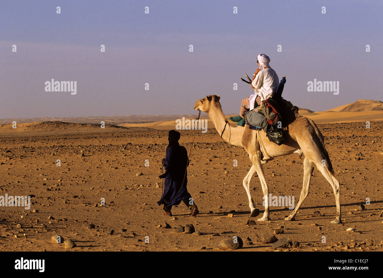Niger, Sahara, Tenere desert, camel ride at the edge of the Air region ...