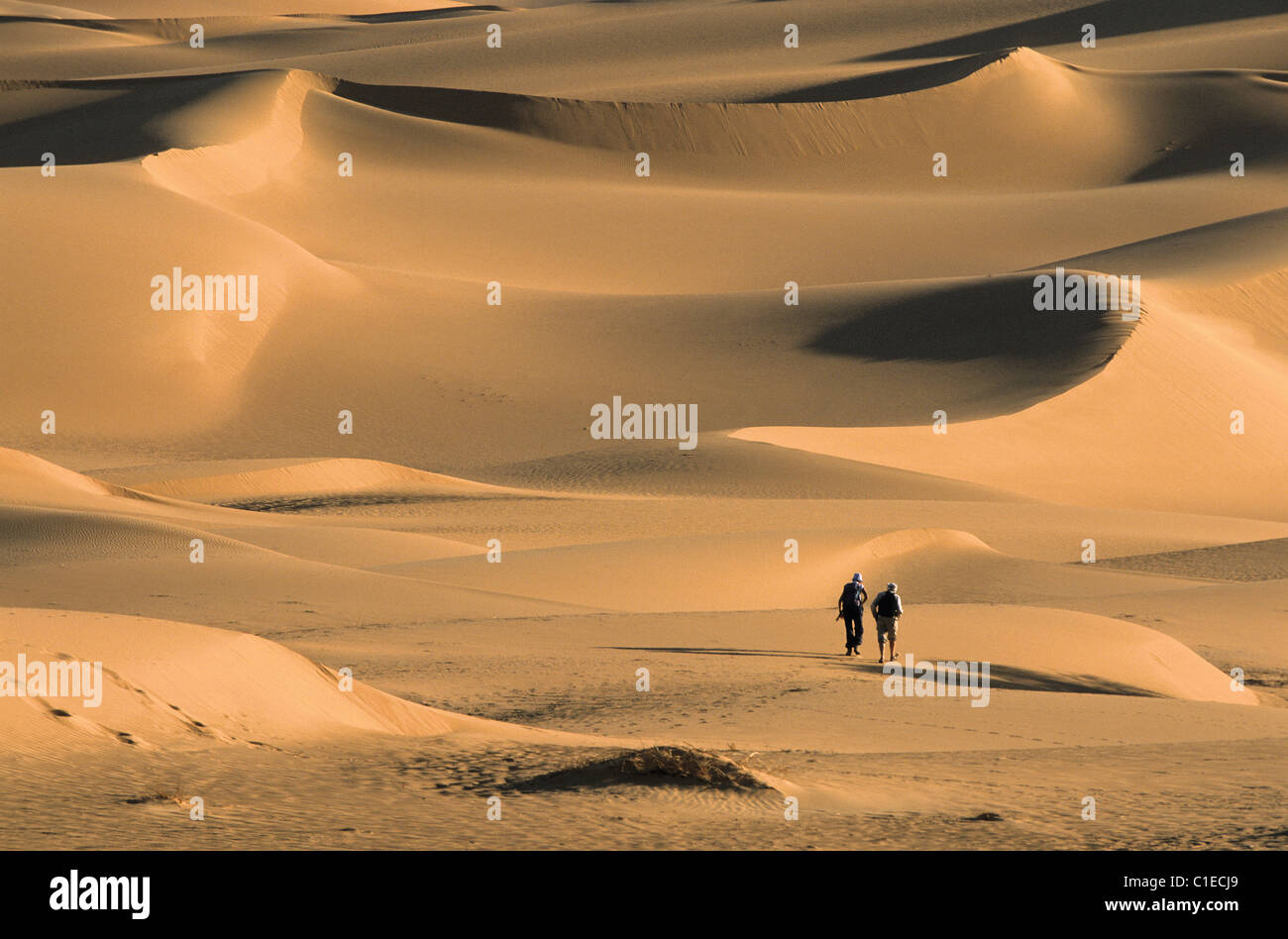 Niger, Sahara, Tenere Desert, Hiking in the Sand Dunes of Arakao Stock ...