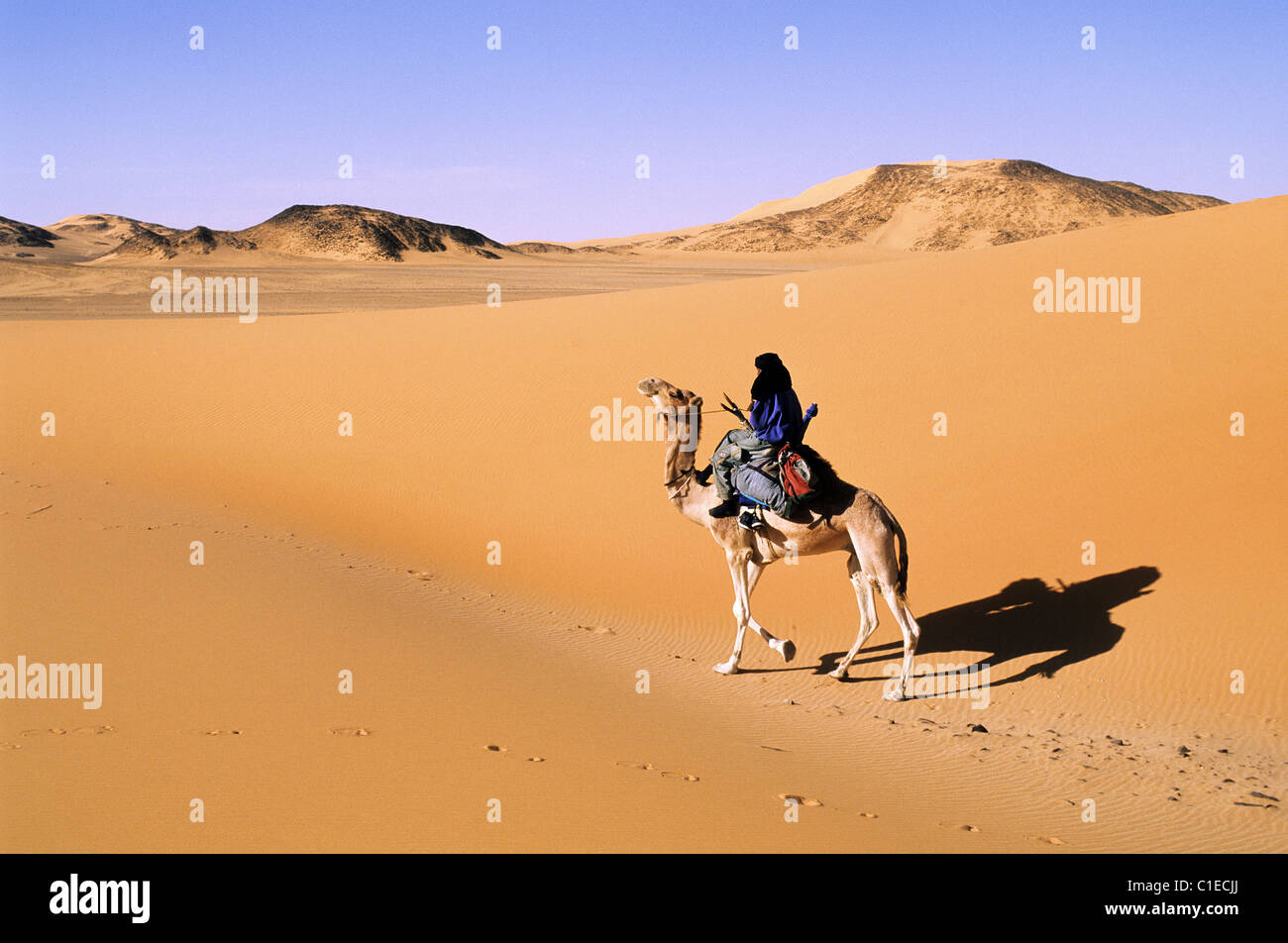 Niger, Sahara, Tenere desert, tuareg camel rider Stock Photo - Alamy