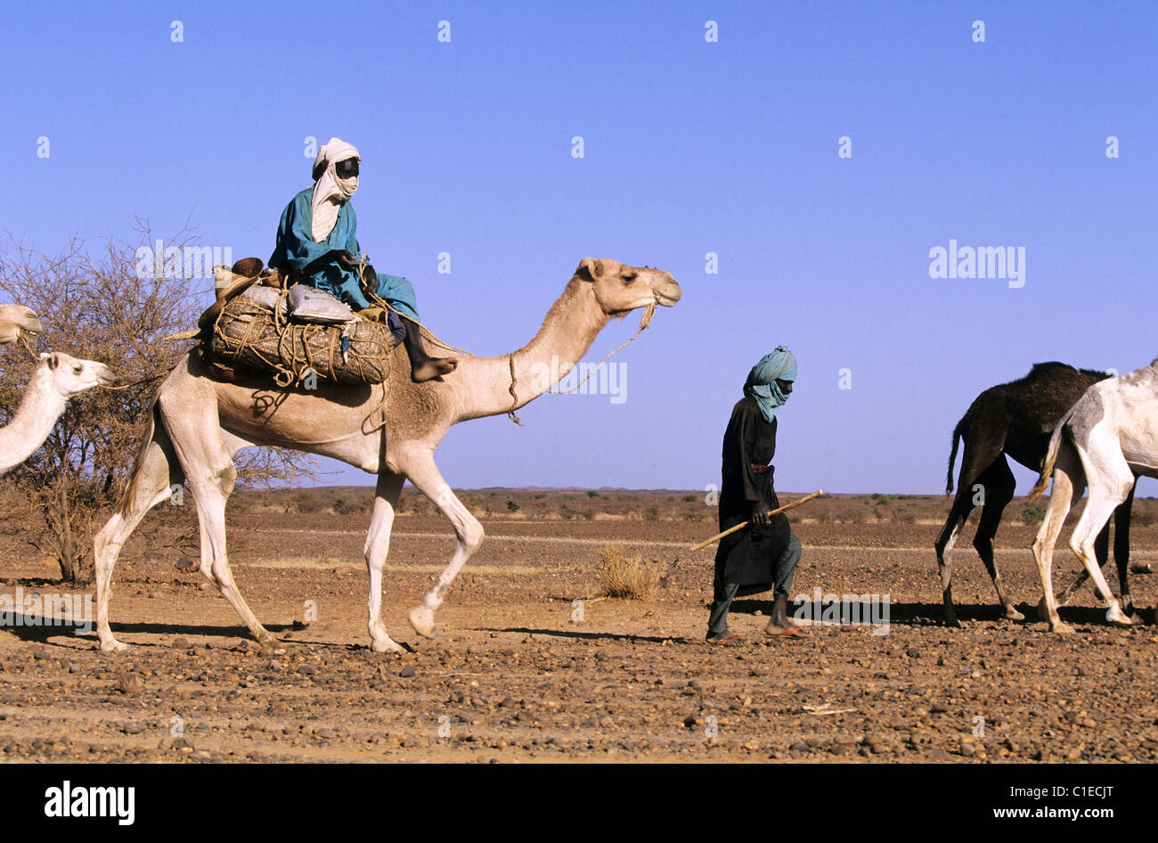The sub saharan sahel hi-res stock photography and images - Alamy