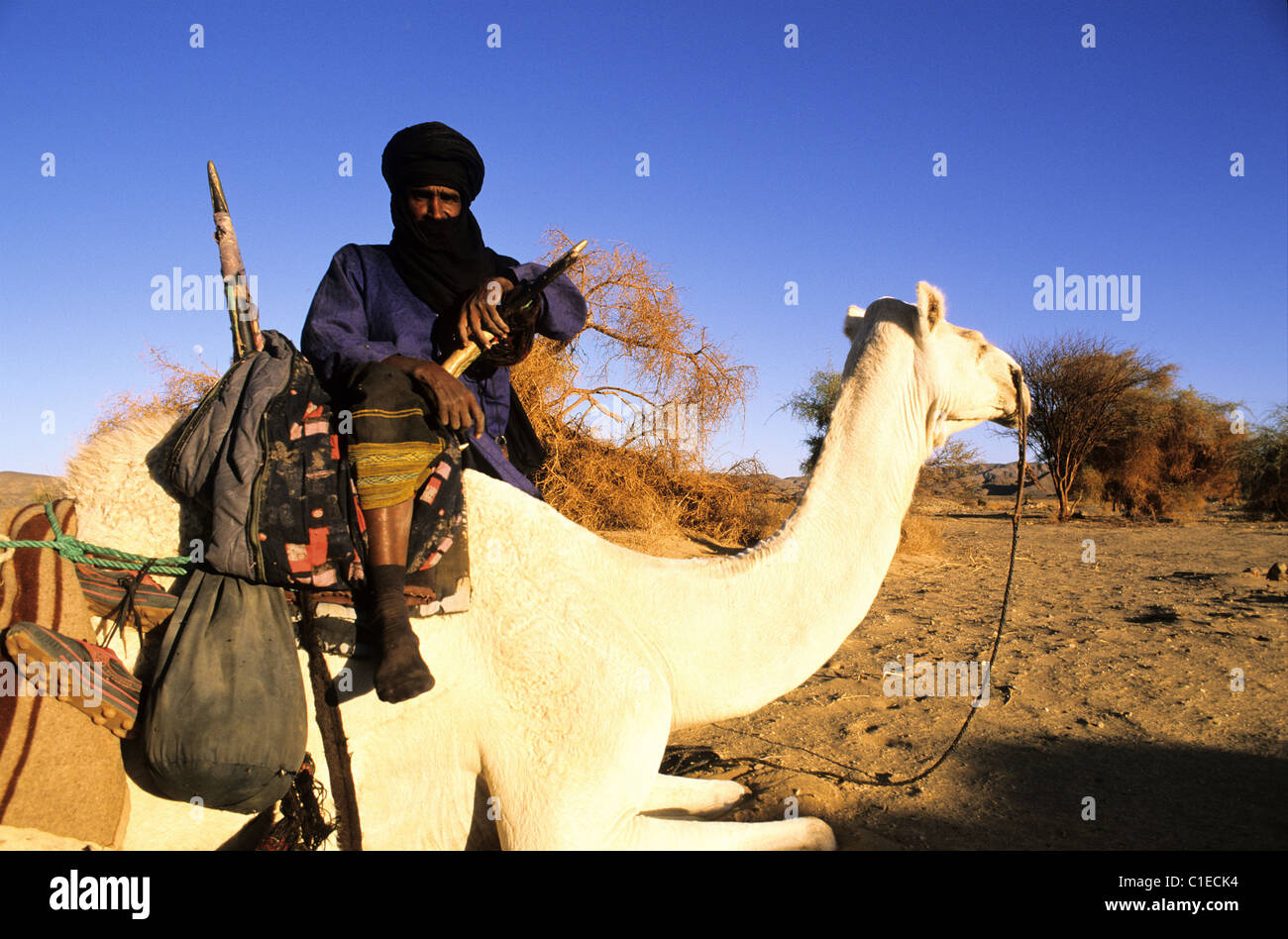 Niger, Sahara, Tenere desert, tuareg Stock Photo - Alamy