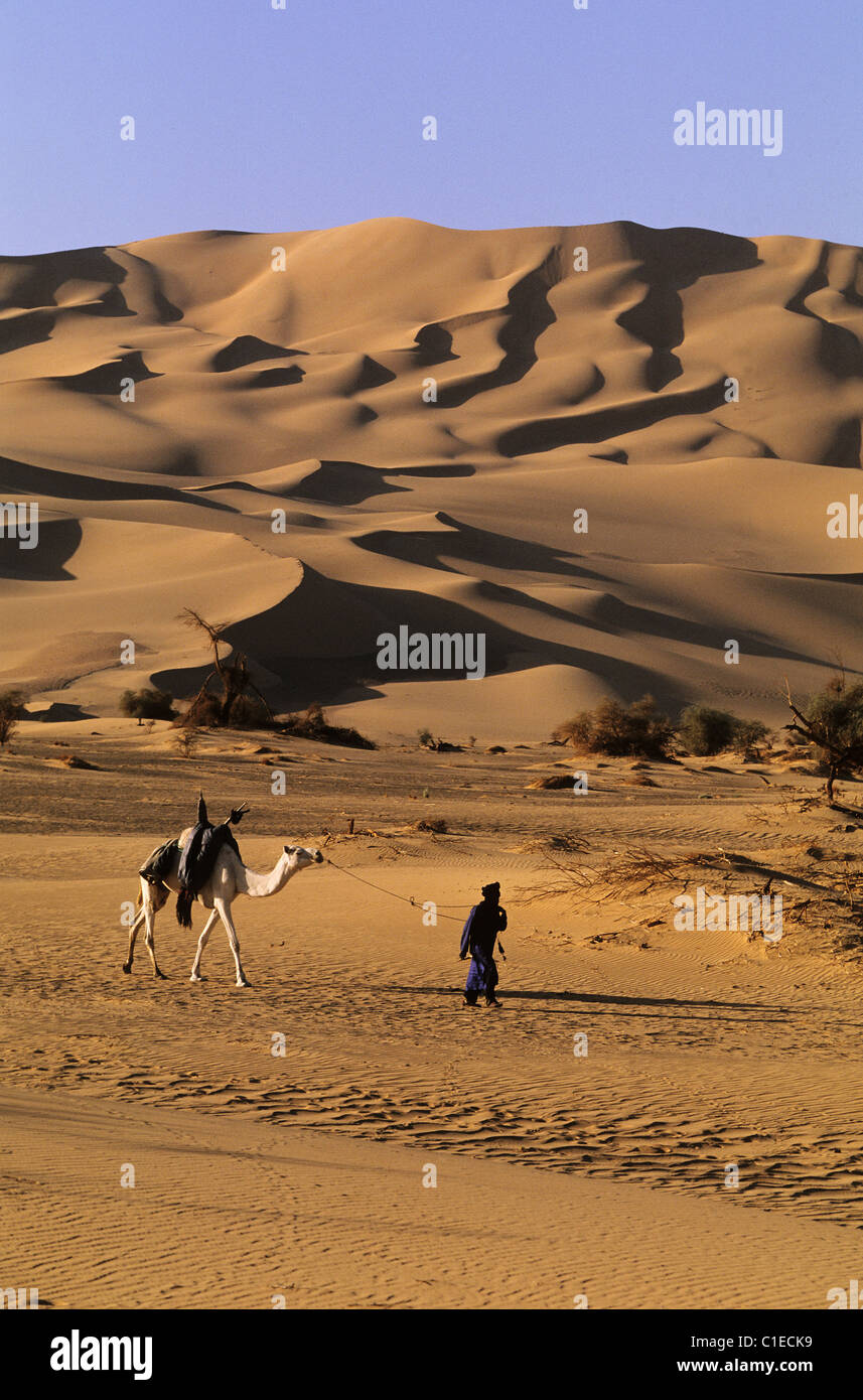 Niger, Sahara, Tenere desert, tuareg camel rider in the sand dunes of ...