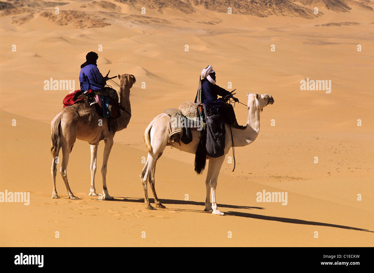Niger, Sahara, Tenere desert, tuareg camel riders Stock Photo - Alamy
