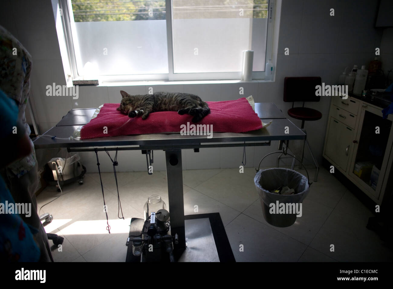 Hospital emergency room mexico hi-res stock photography and images - Alamy