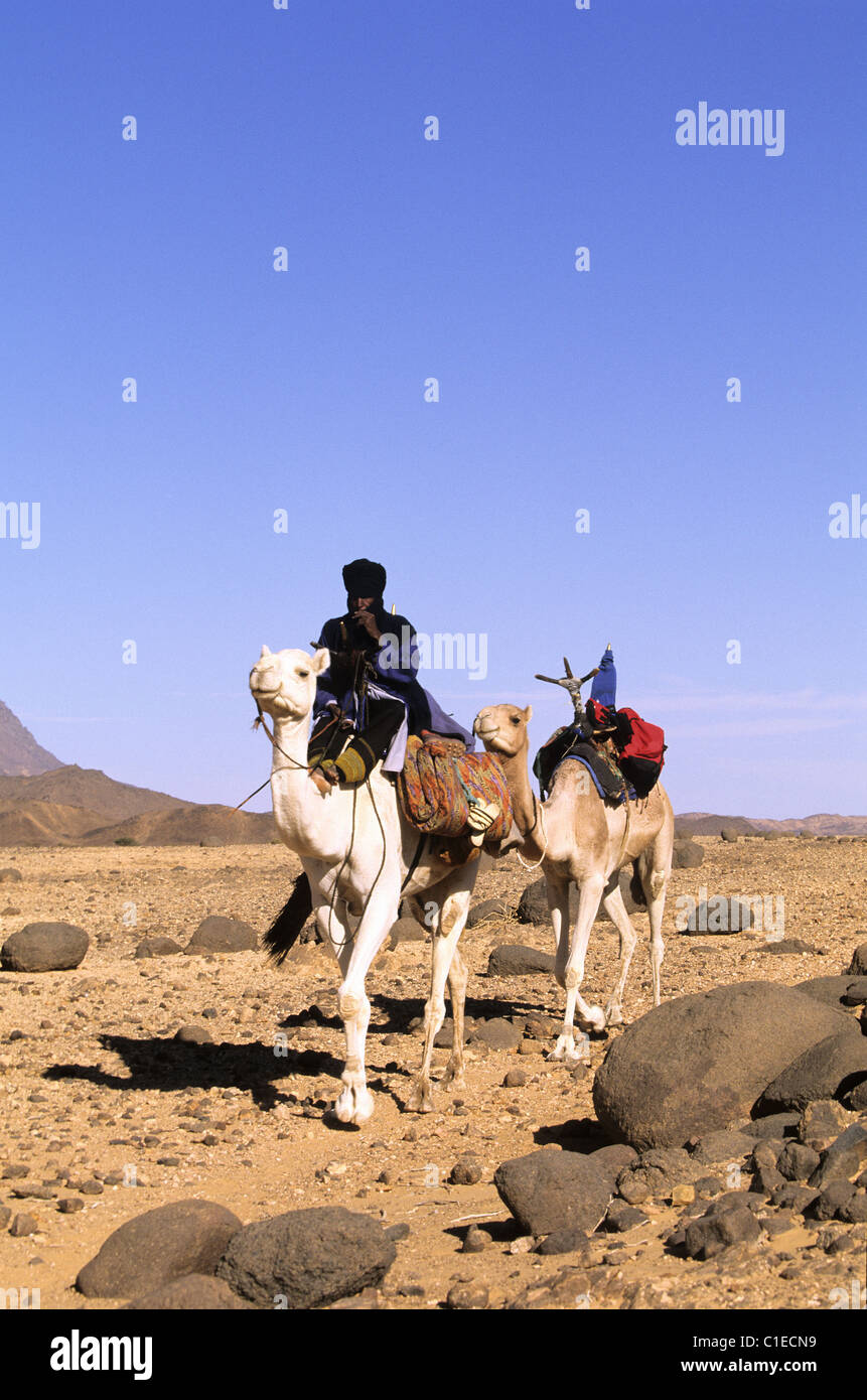 Niger, Sahara, Tenere desert, tuareg camel rider at the edge of the Air ...