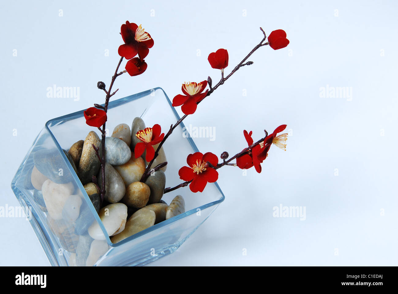 Clear square vase with river rocks holding three stems of red flowers ...