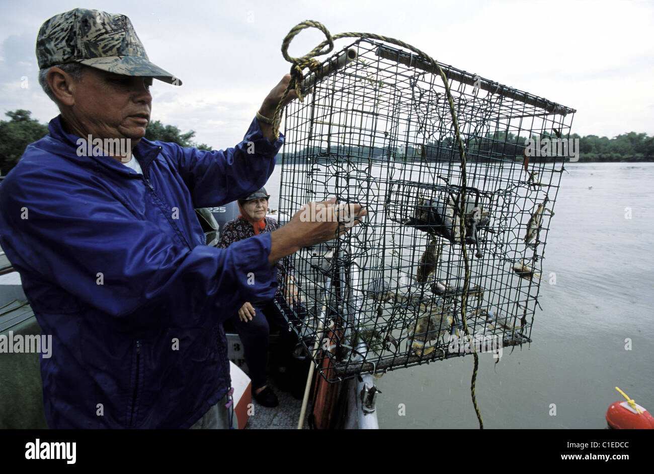 United States, Louisiana, Bayou, crawfish fisherman Stock Photo - Alamy