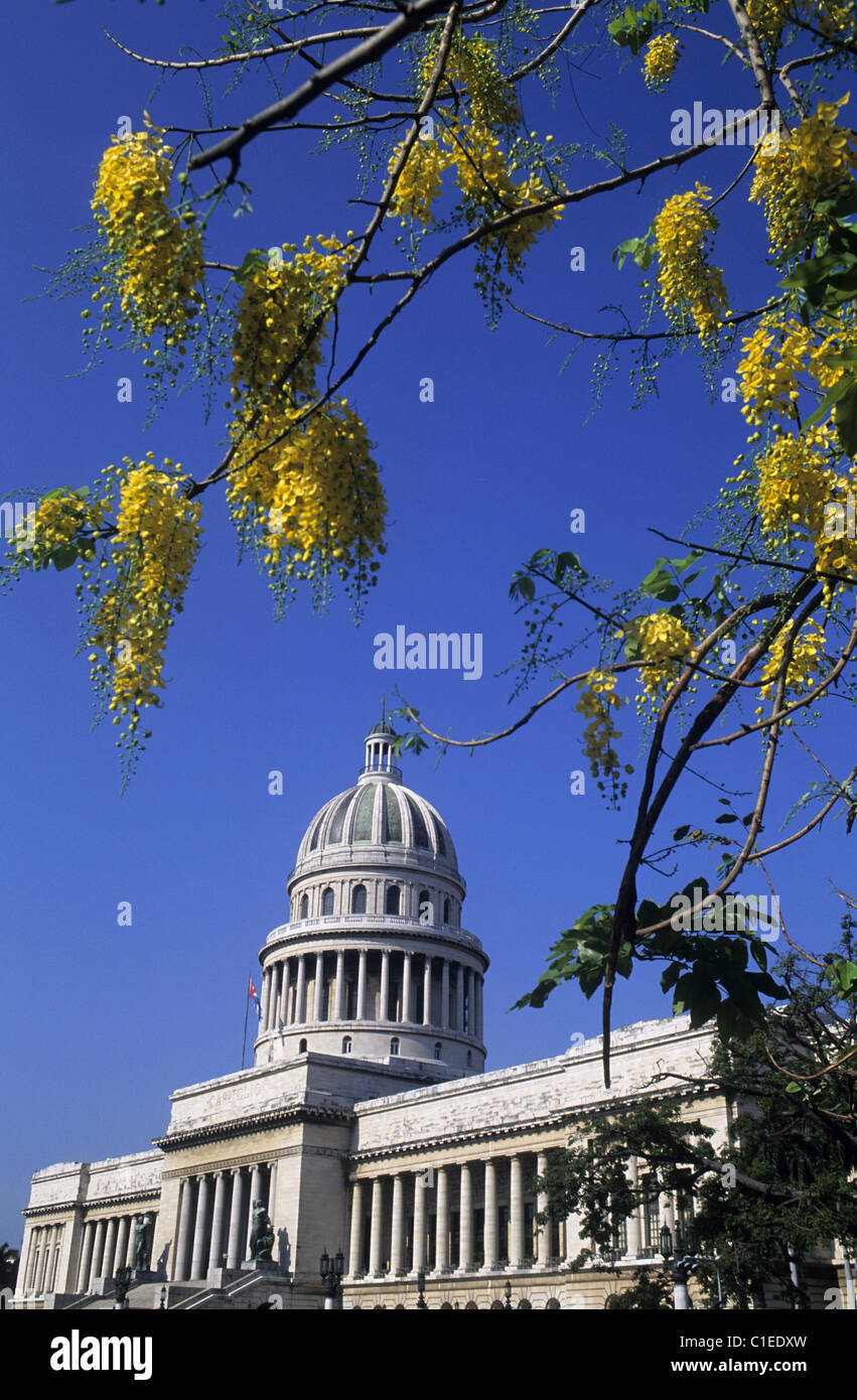 Cuba, Havana, the Capitol, science museum and the old house of ...