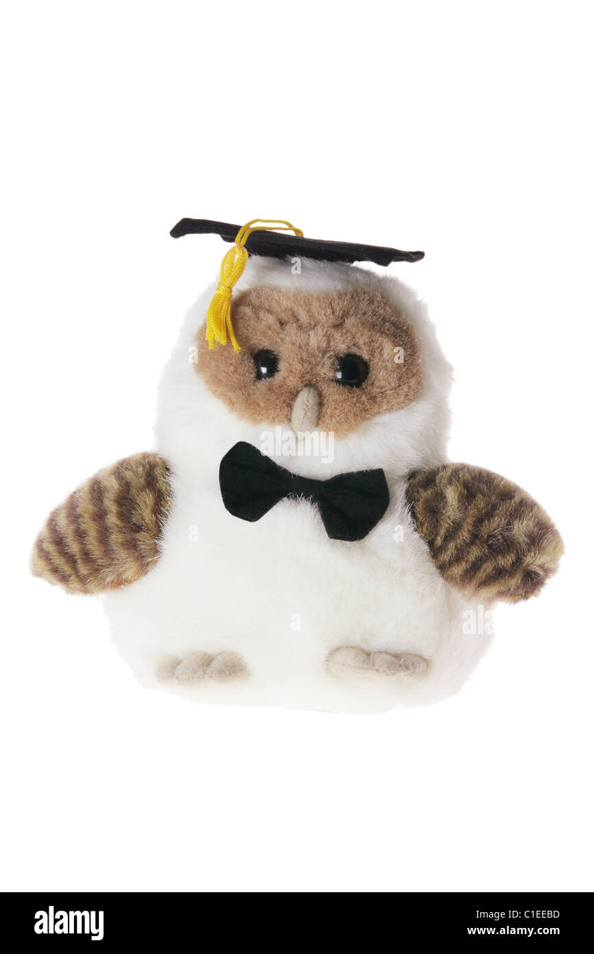 Graduation Owl Soft Toy Stock Photo - Alamy